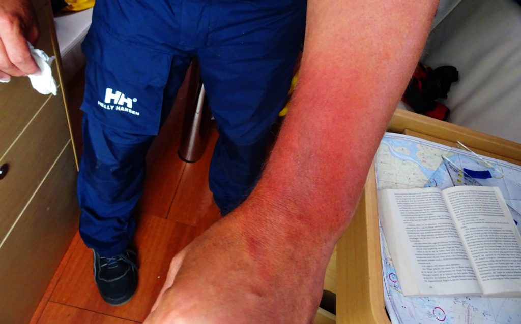 Quick Sailing the Baltic Sea. Part 2